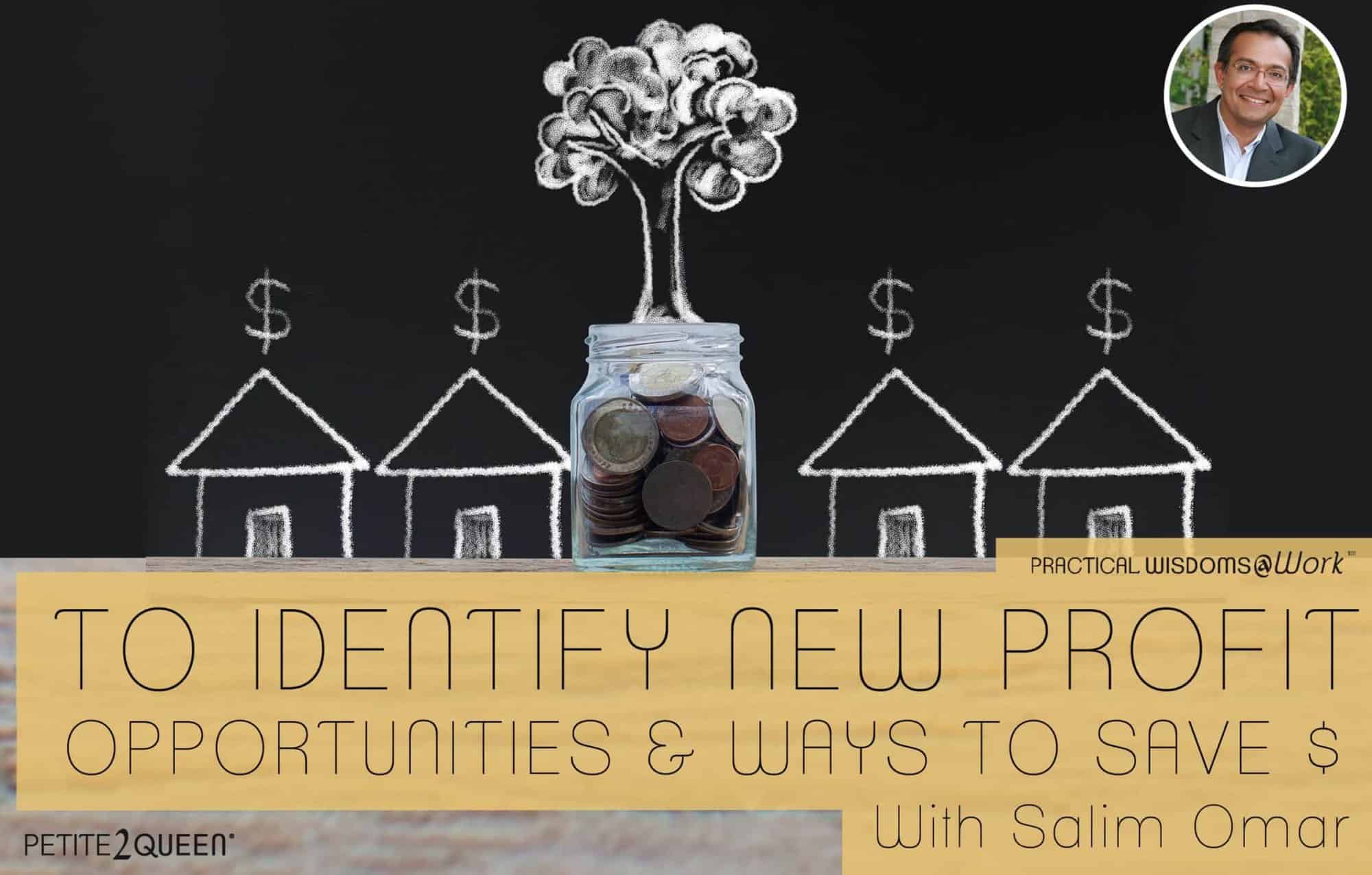 How to Identify New Profit Opportunities and Ways to Save